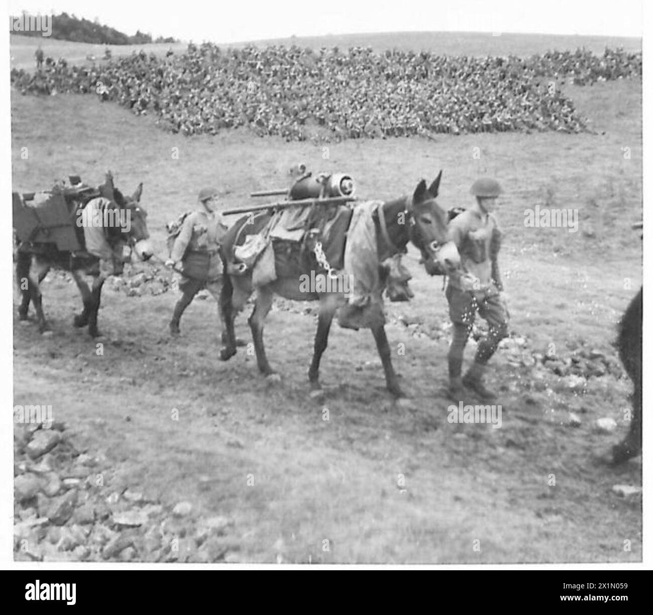 ROYAL ARTILLERY MOUNTAIN BATTERY - Component parts of the dismantled ...