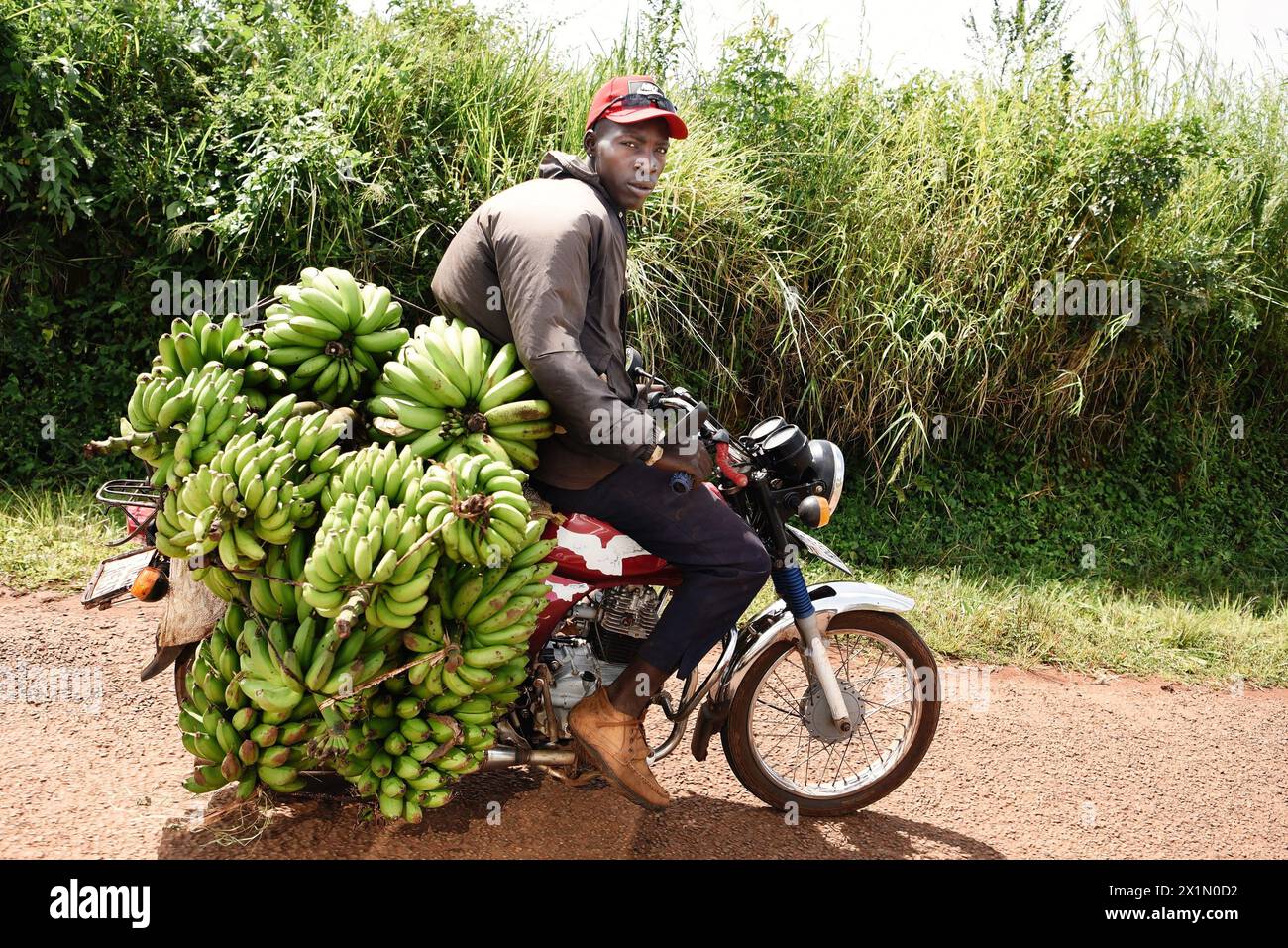 Young Ugandan motorcyclist, startled by the camera, transports ...