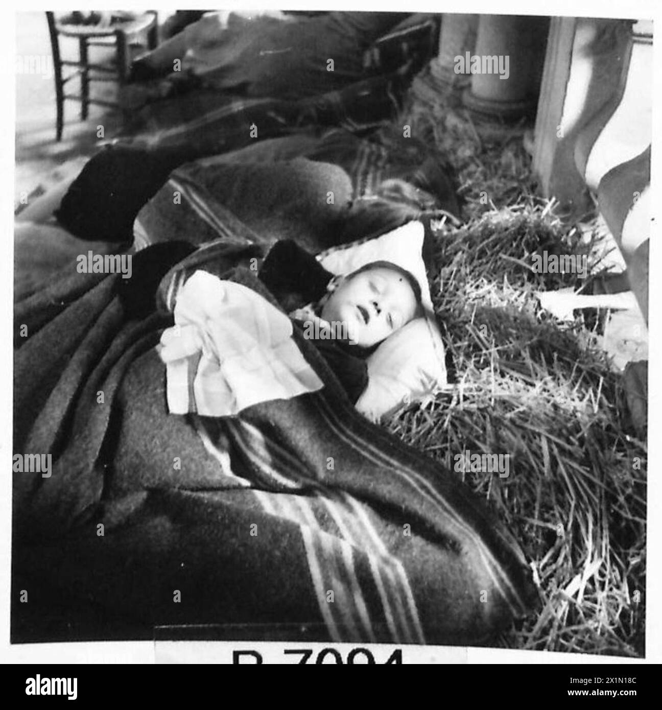 Straw bed Black and White Stock Photos & Images - Alamy