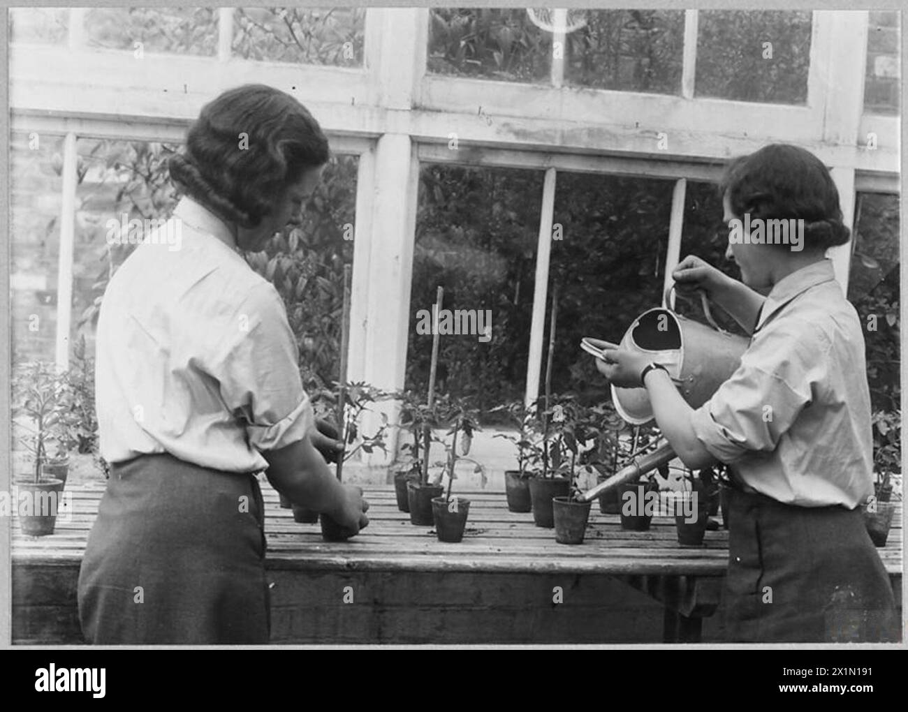GARDENERS OF THE WOMENS AUXILIARY AIR FORCE - These airwomen find ...