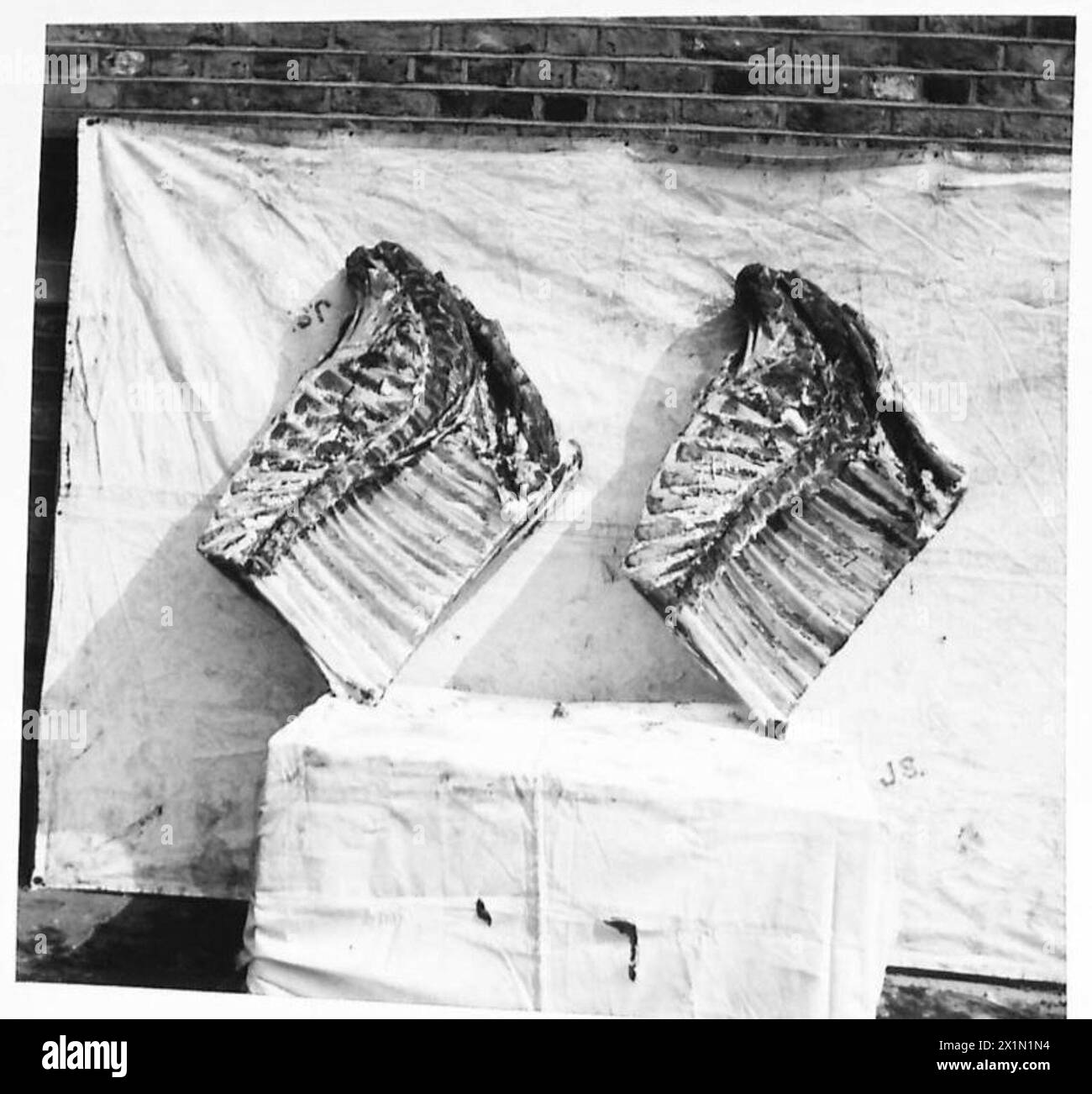 Joints movement Black and White Stock Photos & Images - Alamy