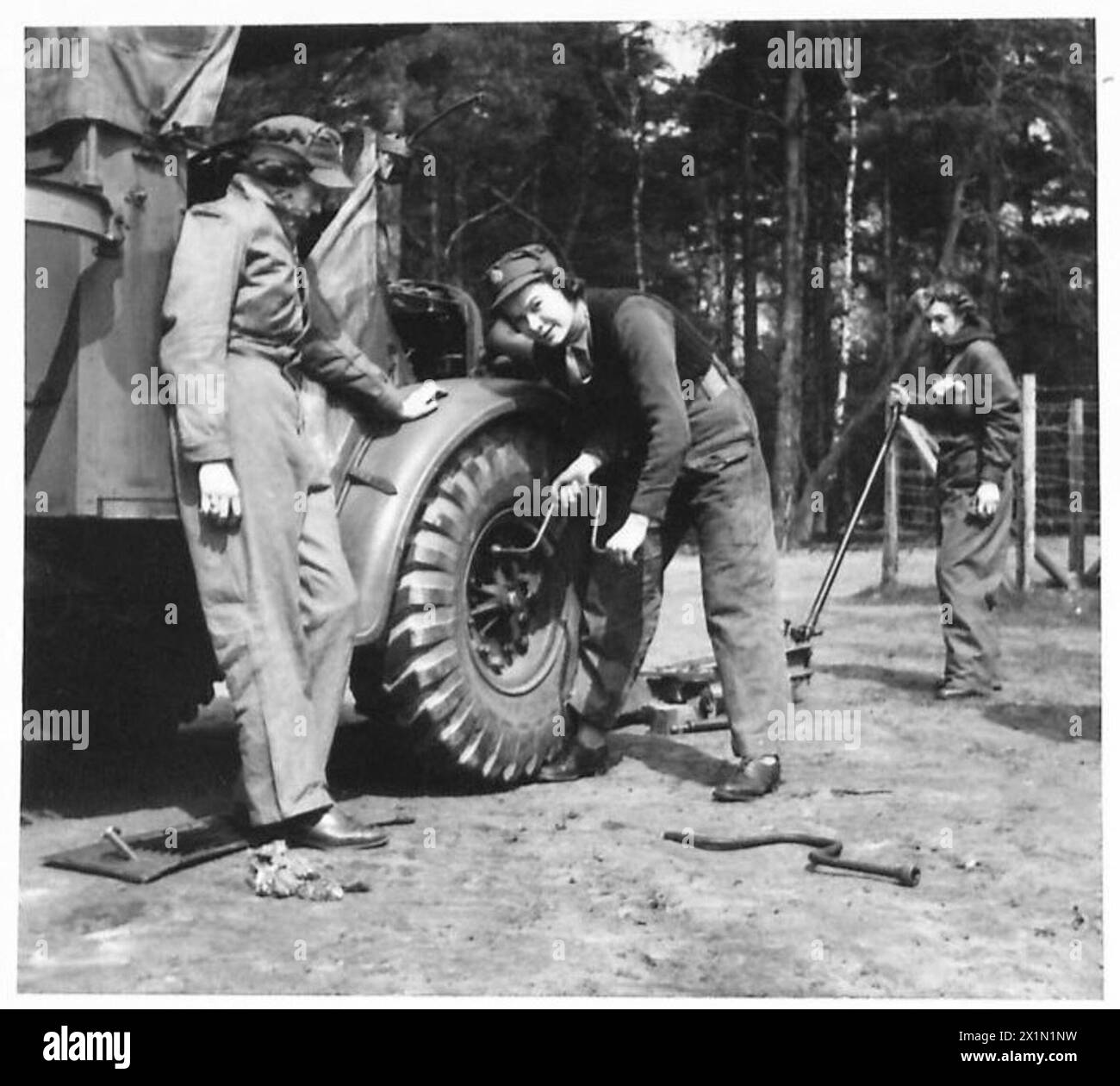 Changing forget me not Black and White Stock Photos & Images - Alamy