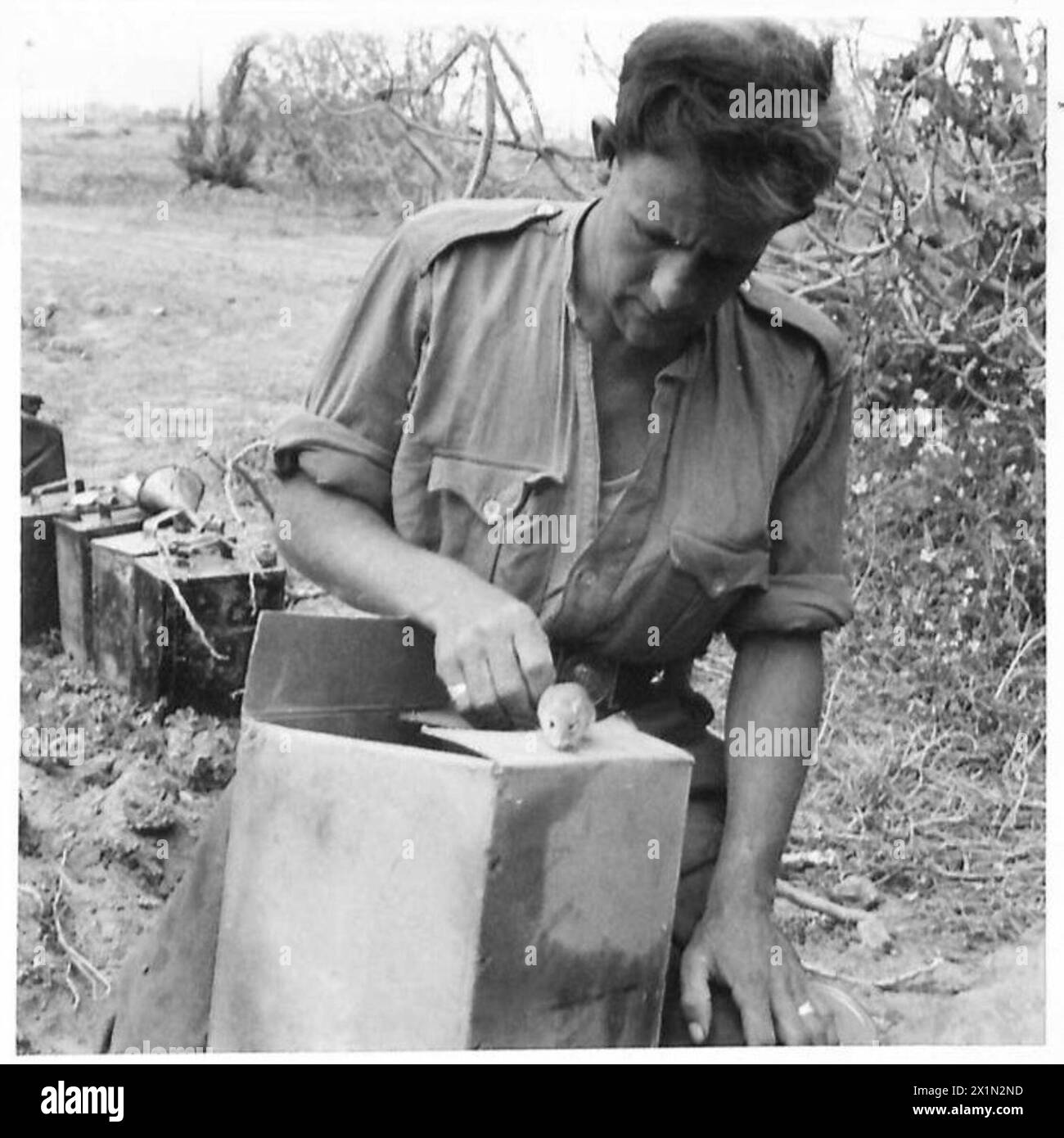 Harry clark Cut Out Stock Images & Pictures - Alamy