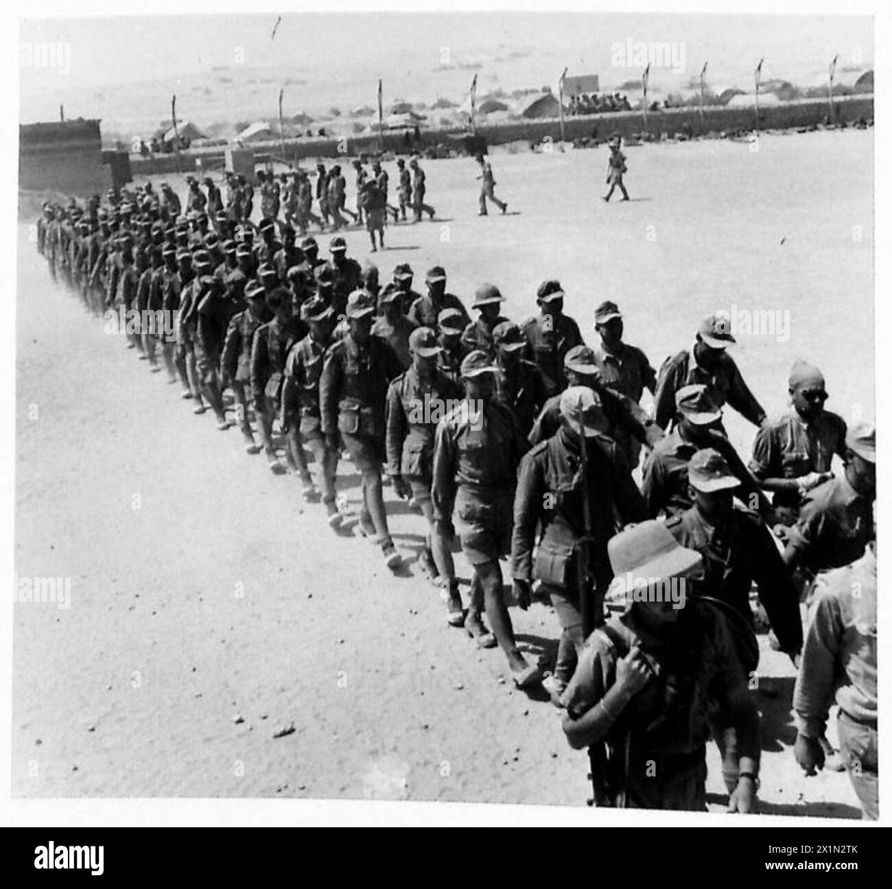 THE LATEST PICTURES FROM THE WESTERN DESERT - A line of German ...