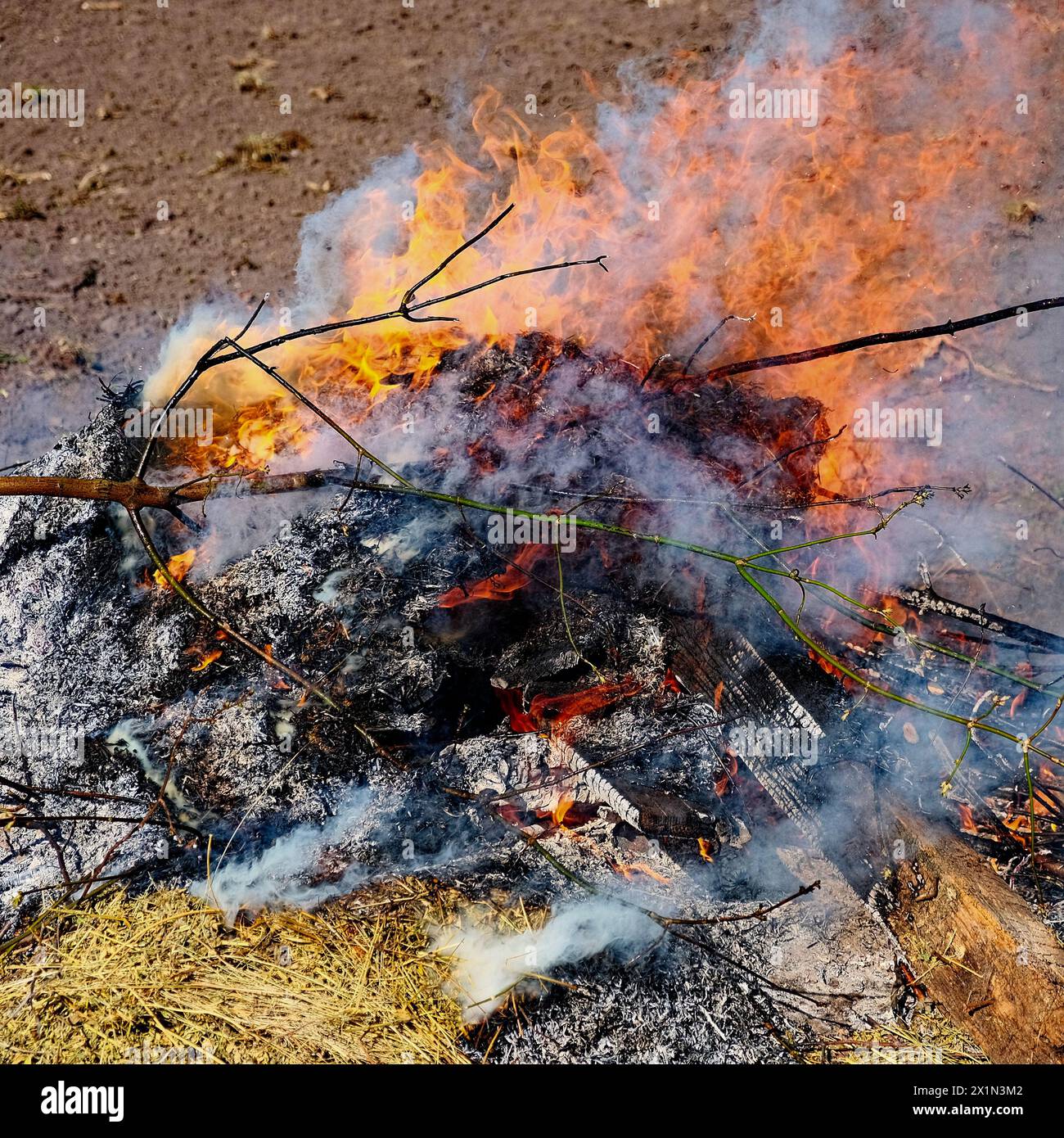 A controlled fire burns debris on the ground Stock Photo - Alamy