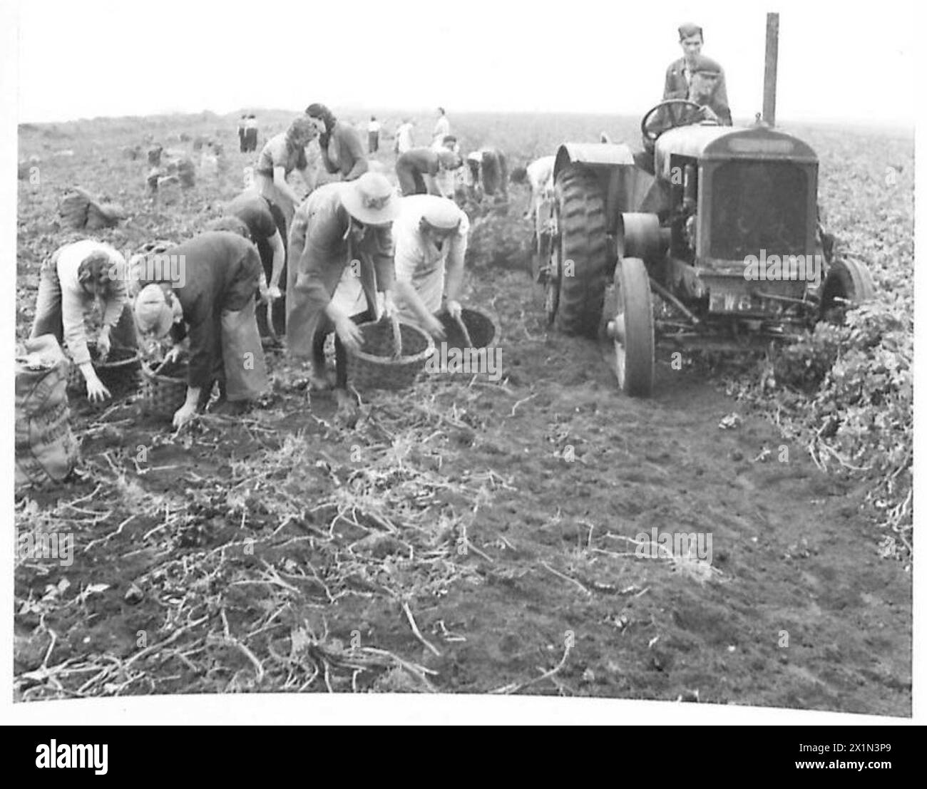 Potato harvesters Cut Out Stock Images & Pictures - Alamy