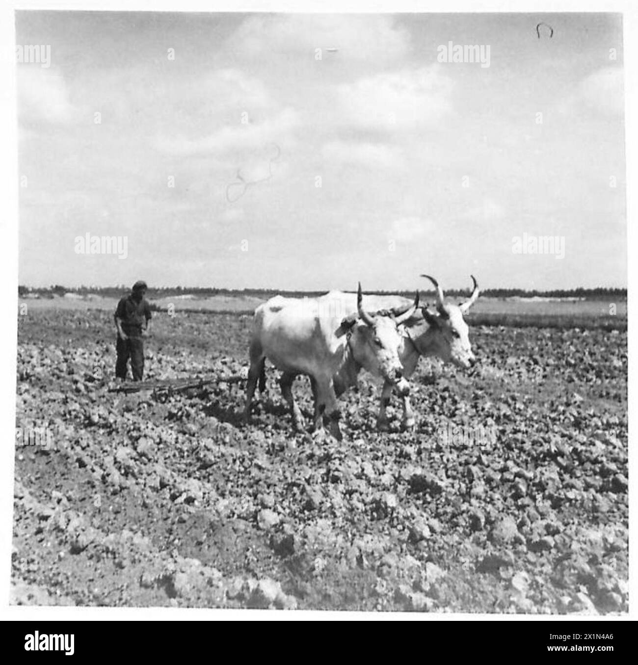 A.M.G. RECLAMATION PROJECT LOCATION : GRADO - Apart from the more ...