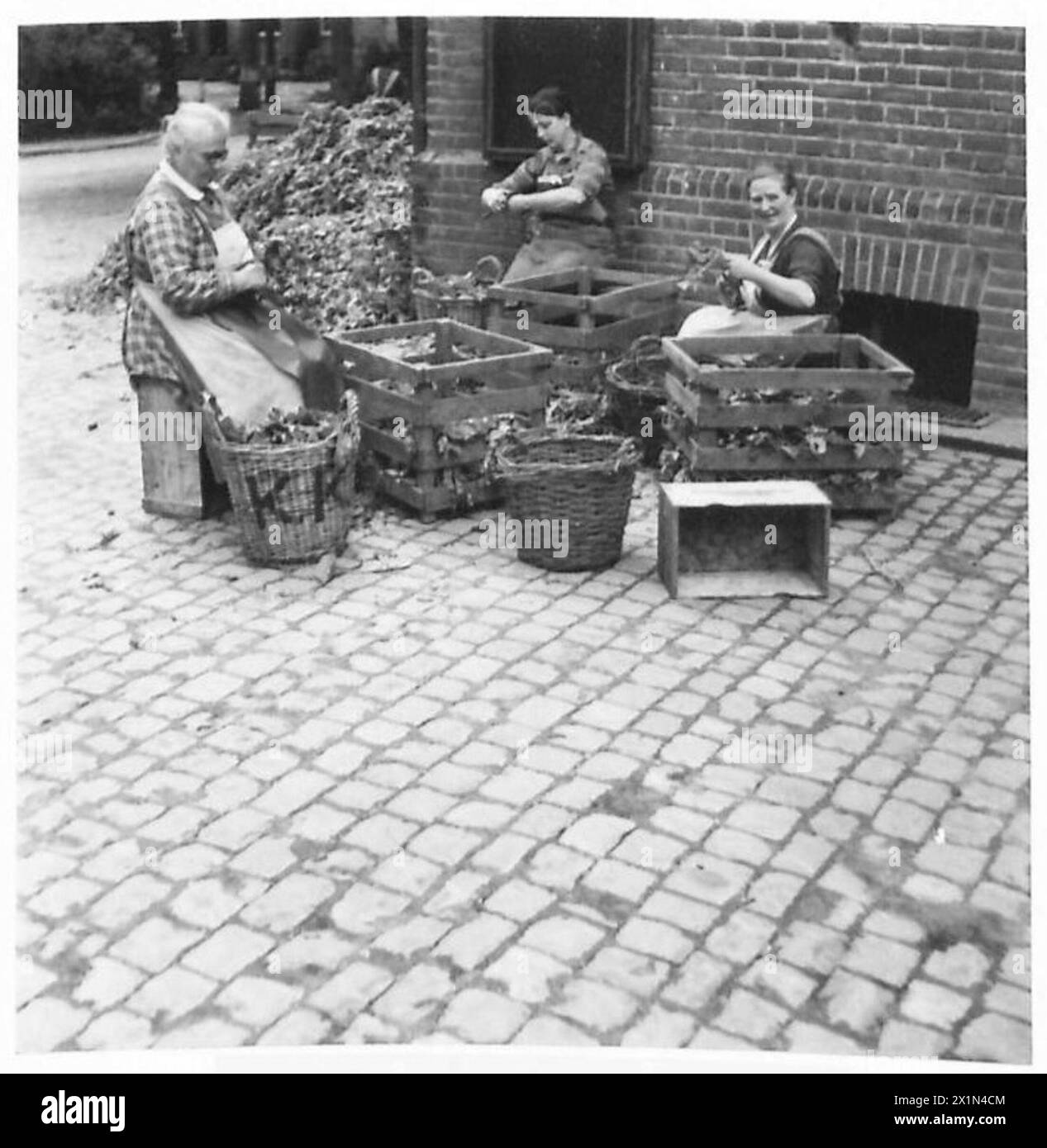 RESTORATION OF FOOD PRODUCTION IN A RHINE AREA IN GERMANY - Outside the ...