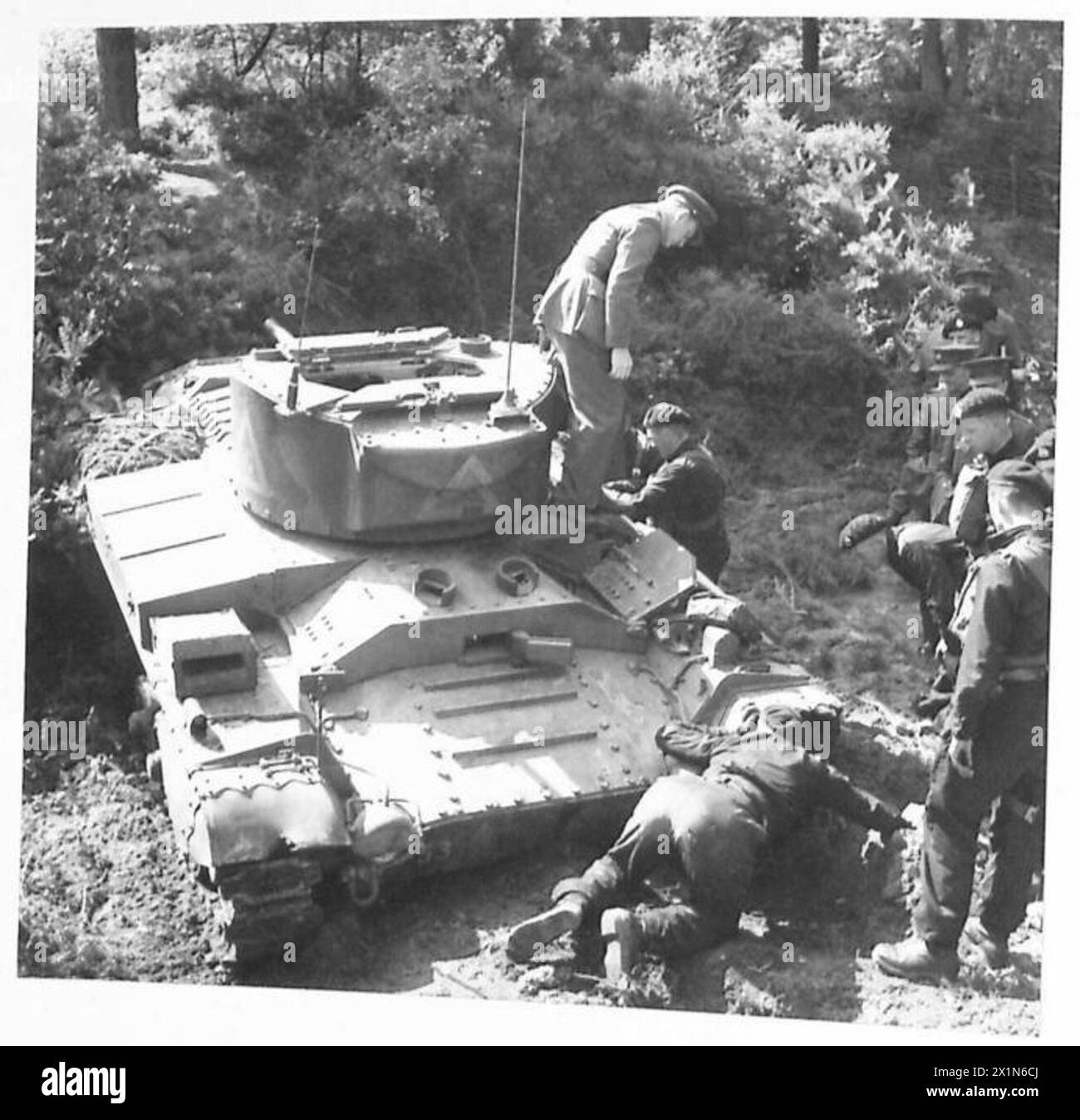 The Mk. III Valentine tank clears forest terrain obstacles during ...