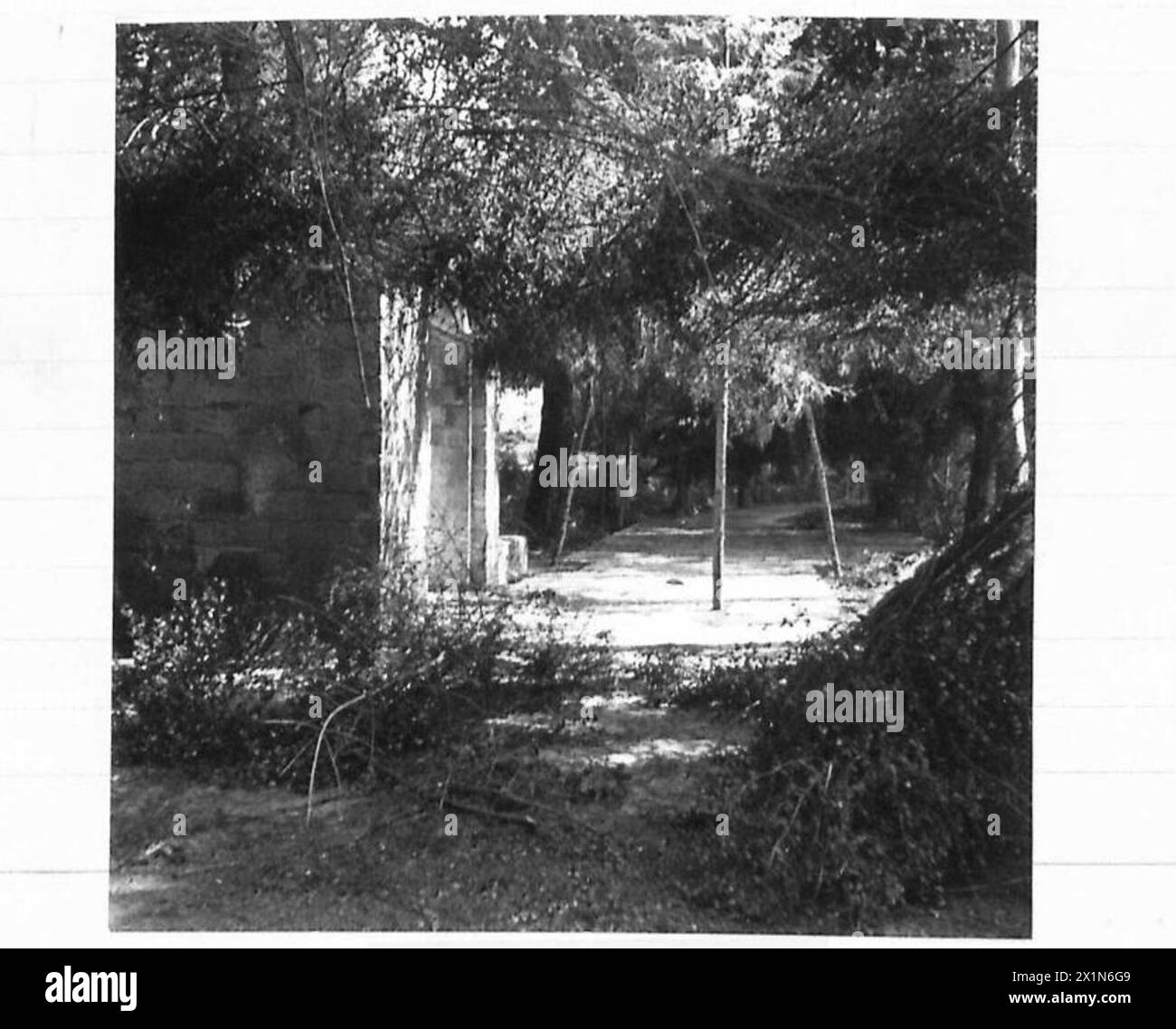 FLYING BOMB SITE - A view from the road showing concrete runway for ...