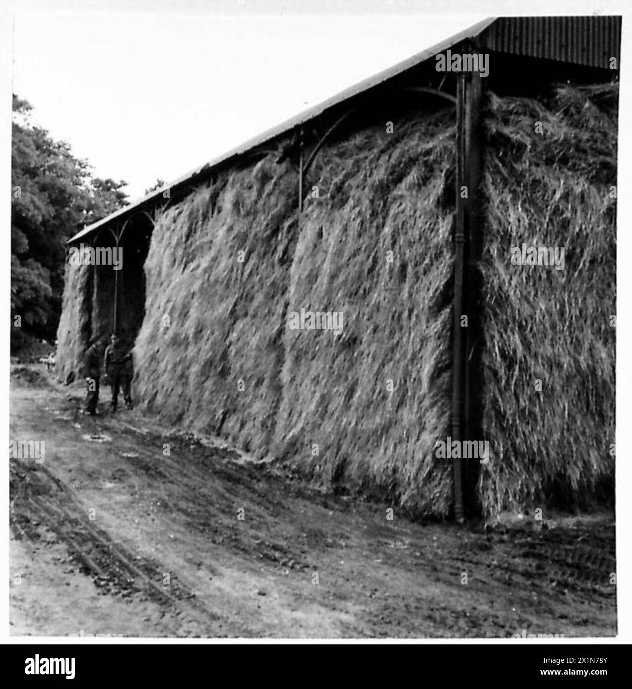SOLDIERS AS FARMERS - A Dutch barn holds the hay crop which the ...
