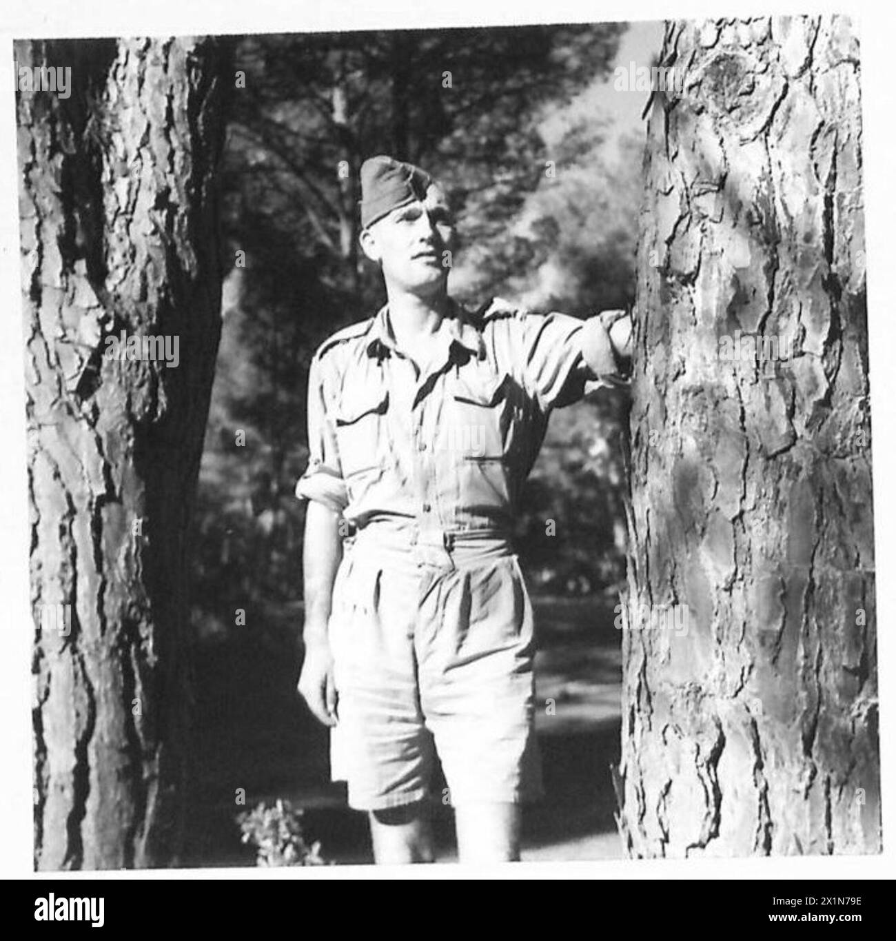 Lance Sergeant W. Brown of the 2nd Battalion Scots Guards, one of 17 ...