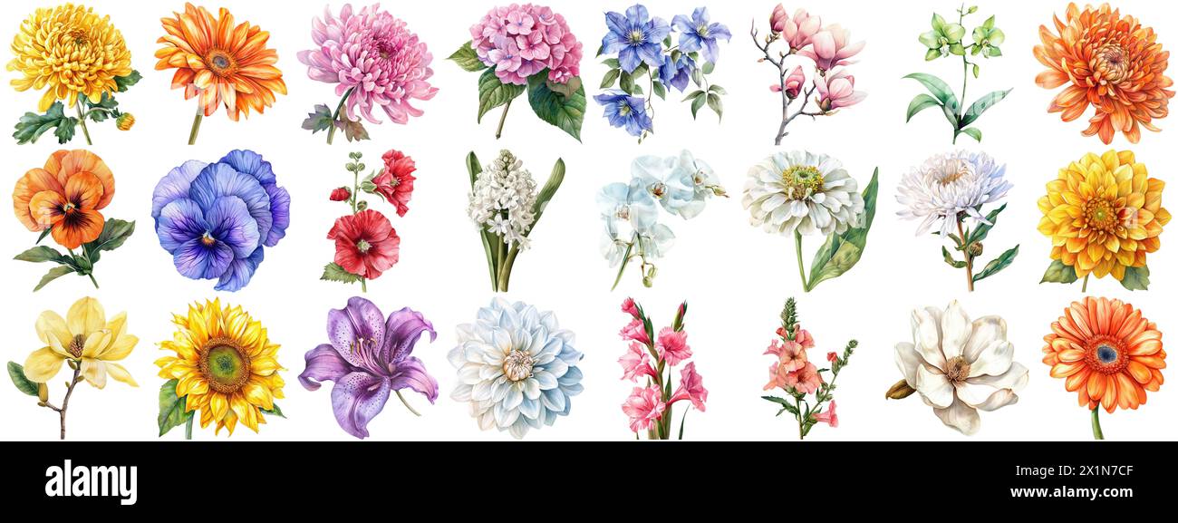 Watercolor flower set isolated background. Various floral collection of ...