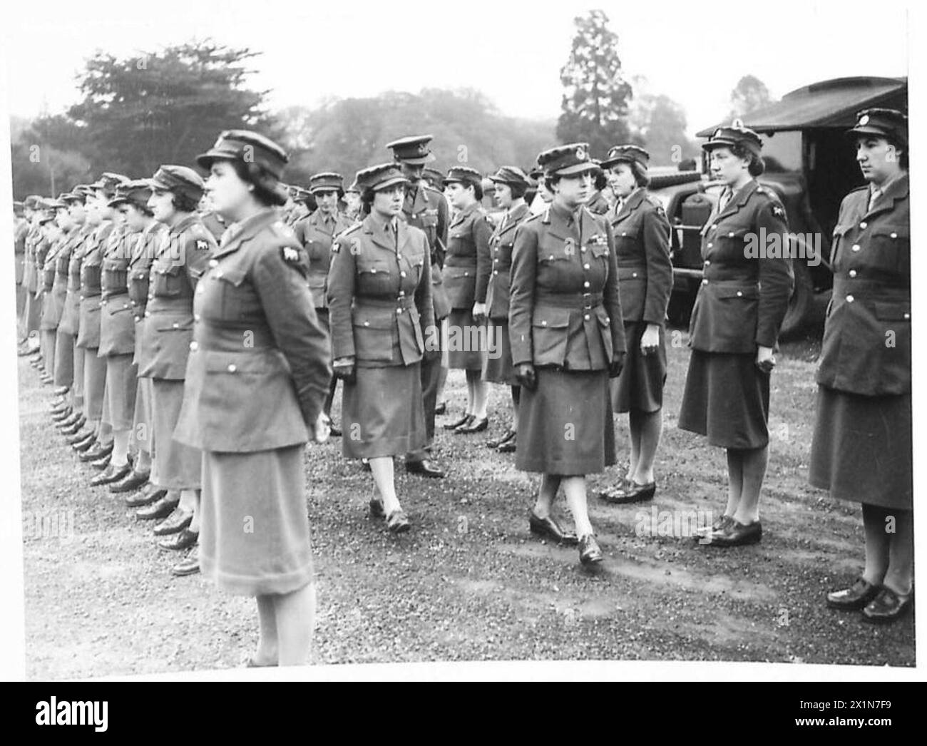 Territorial review Cut Out Stock Images & Pictures - Alamy