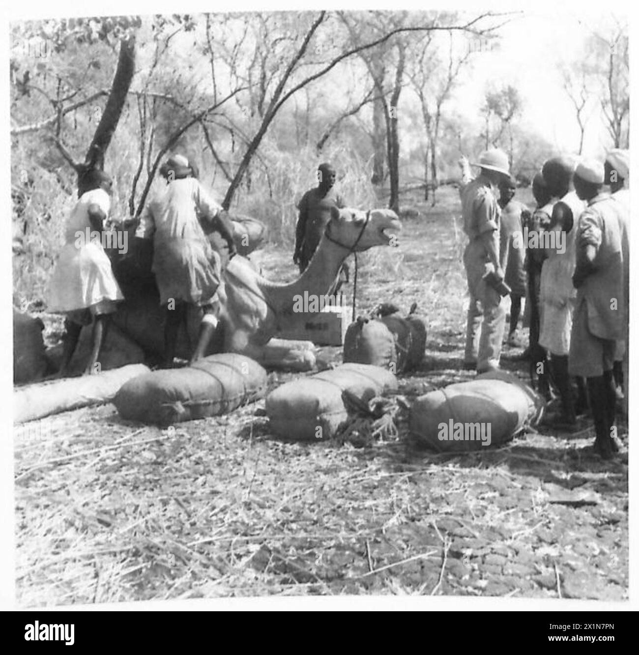 Logistical Support Activity Cut Out Stock Images Pictures Alamy