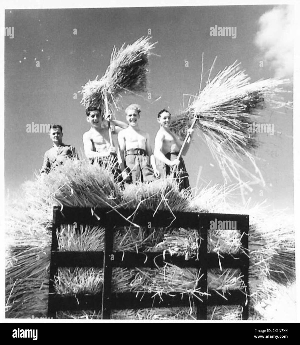 TROOPS HELP FARMERS WITH HARVEST - The troops revelled in the job of ...