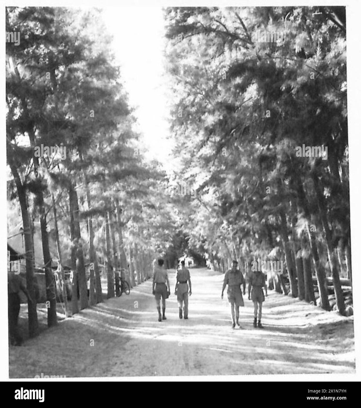 THESE PHOTOGRAPHS WERE TAKEN AT THE REQUEST OF MAJOR RUSTON OF "PARADE ...