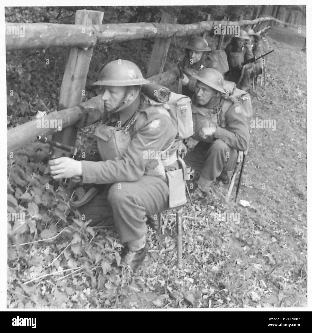 A WOODLAND EXERCISE - A patrol by the edge of a wood, British Army ...