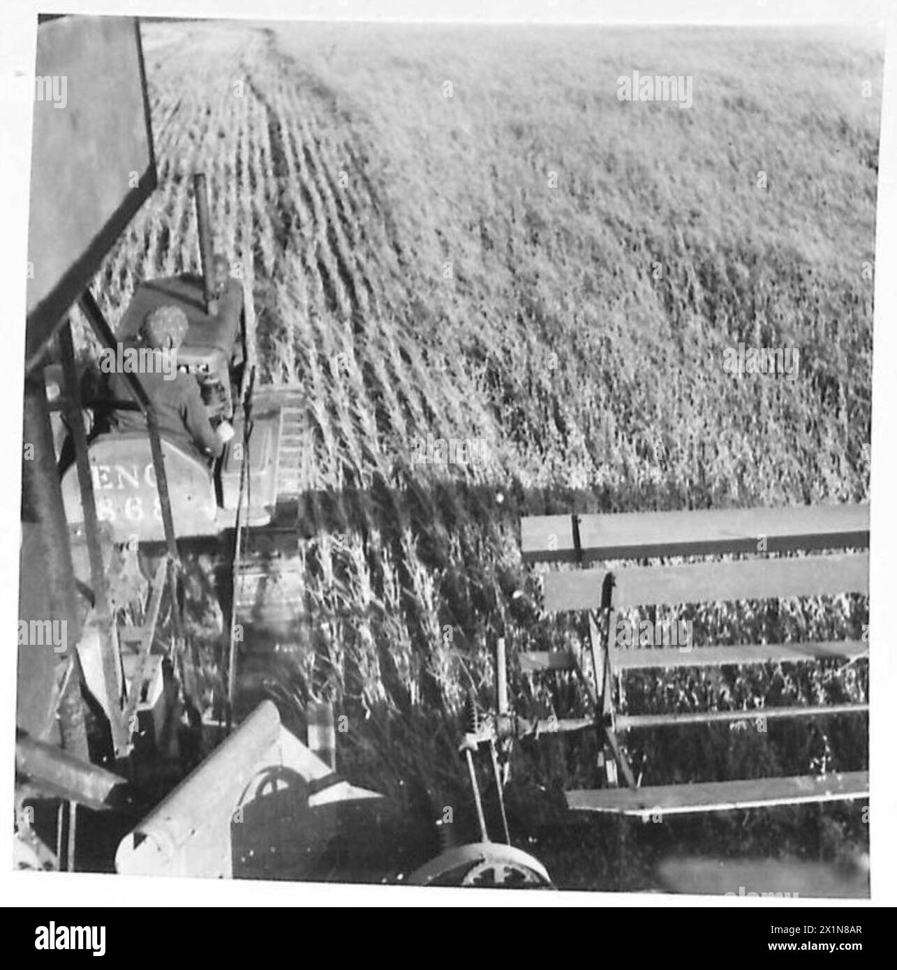 British Army soldiers oversee harvest operations using a tractor and ...