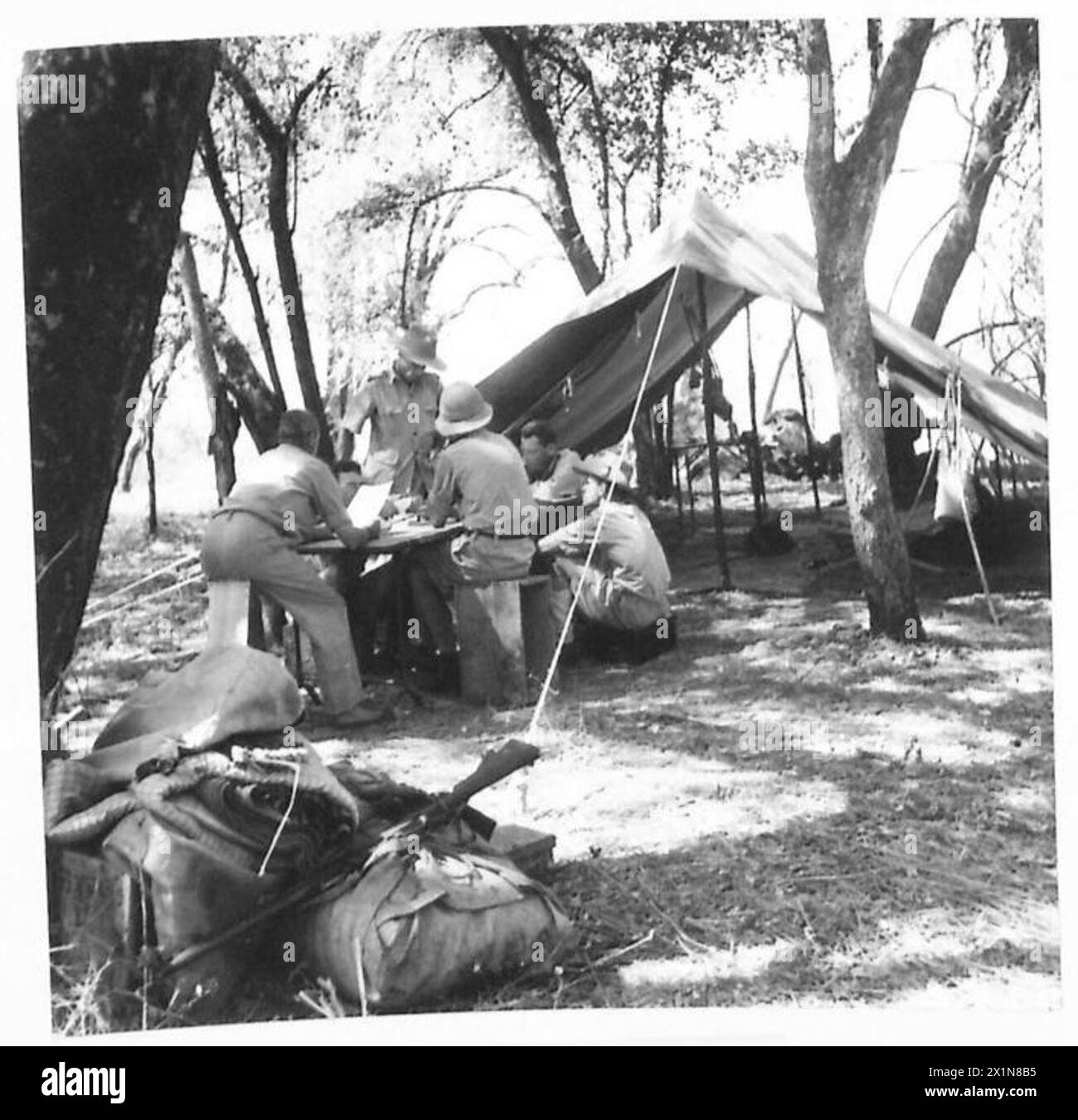 Reviewing documents Black and White Stock Photos & Images - Alamy