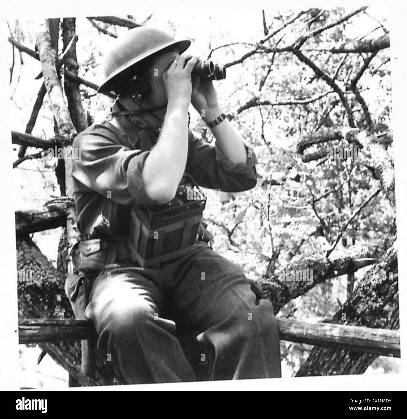 Lieut. Taylor observes mortar bombs falling from tree-tops at the Anzio ...