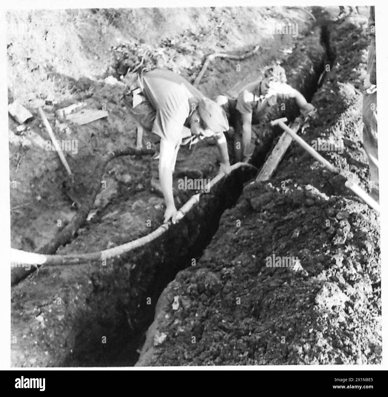 New field bed Cut Out Stock Images & Pictures - Alamy