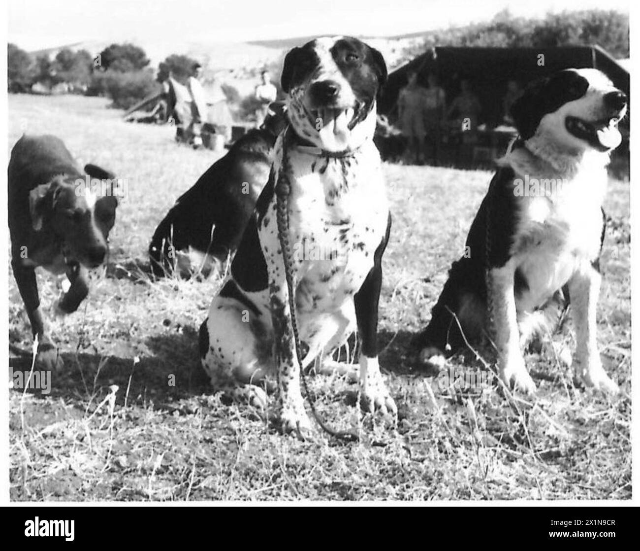 Rob boy Black and White Stock Photos & Images - Alamy