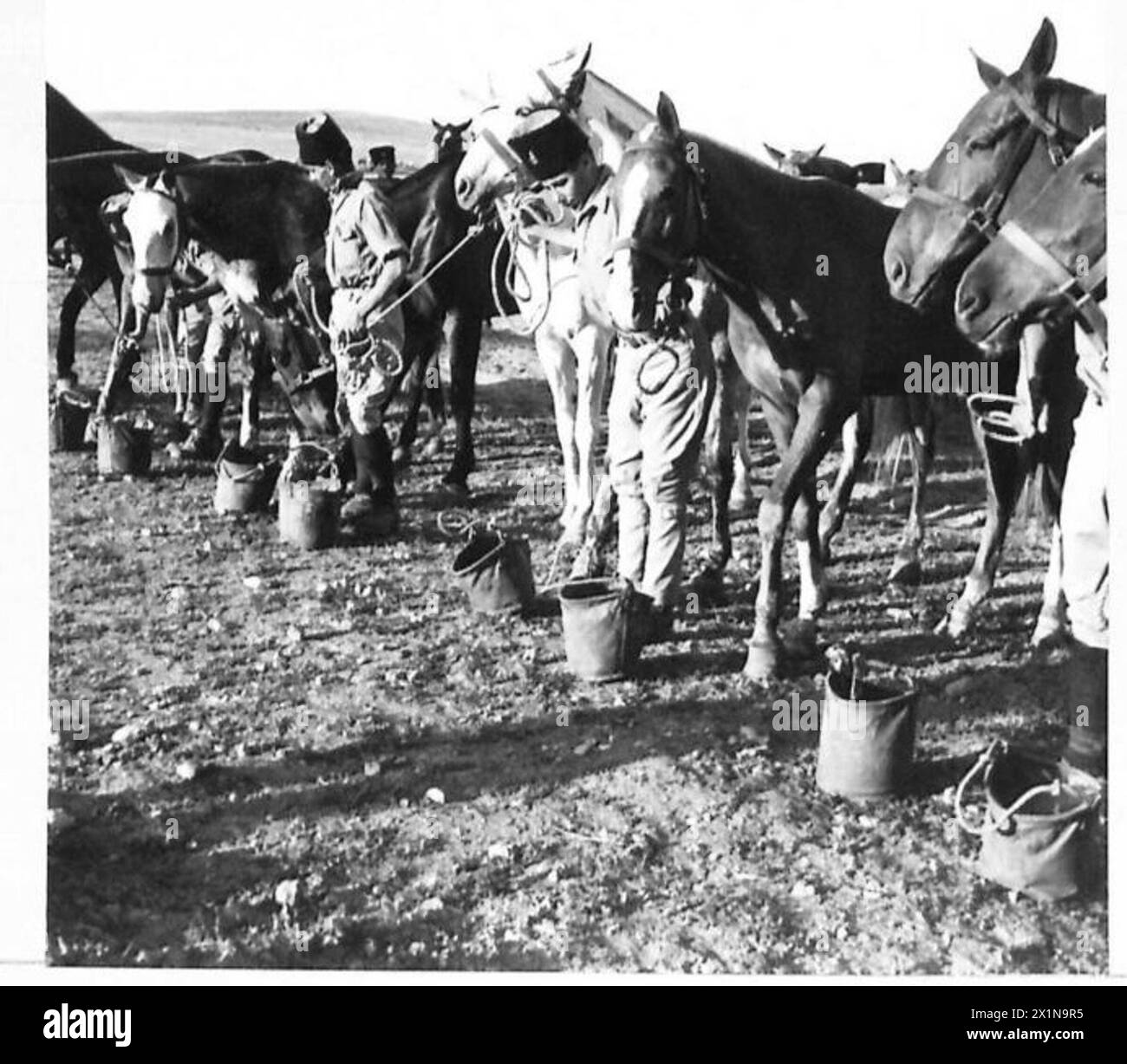 Transjordan hi-res stock photography and images - Alamy