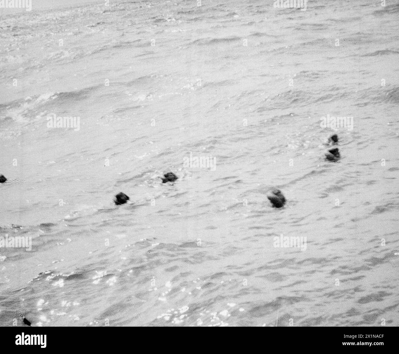 The image shows U-boat survivors swimming toward HMS Escapade in May ...