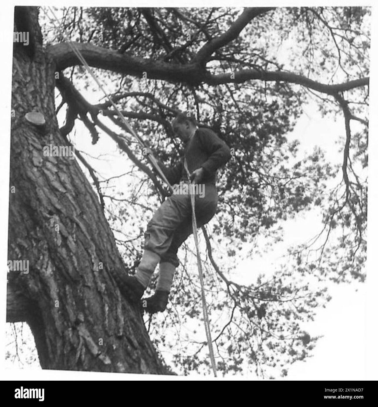 Army mountain warfare school Black and White Stock Photos & Images - Alamy