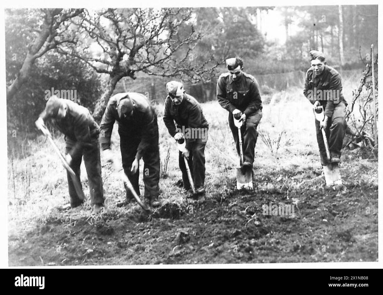 Growing of vegetable Black and White Stock Photos & Images - Alamy