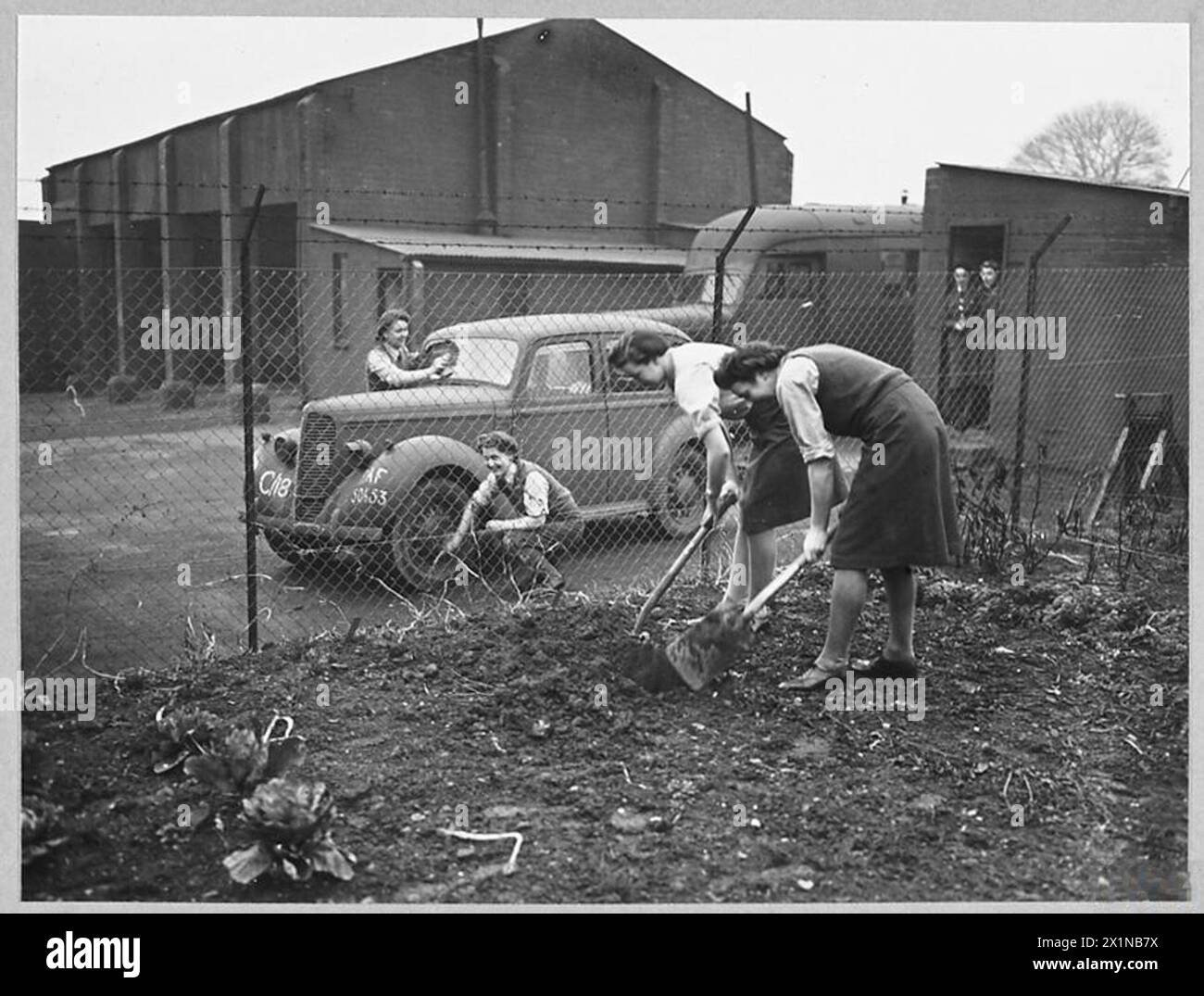 W.A.A.F. IN SCOTLAND : - 12188 Picture (issued 1944) shows - The ...