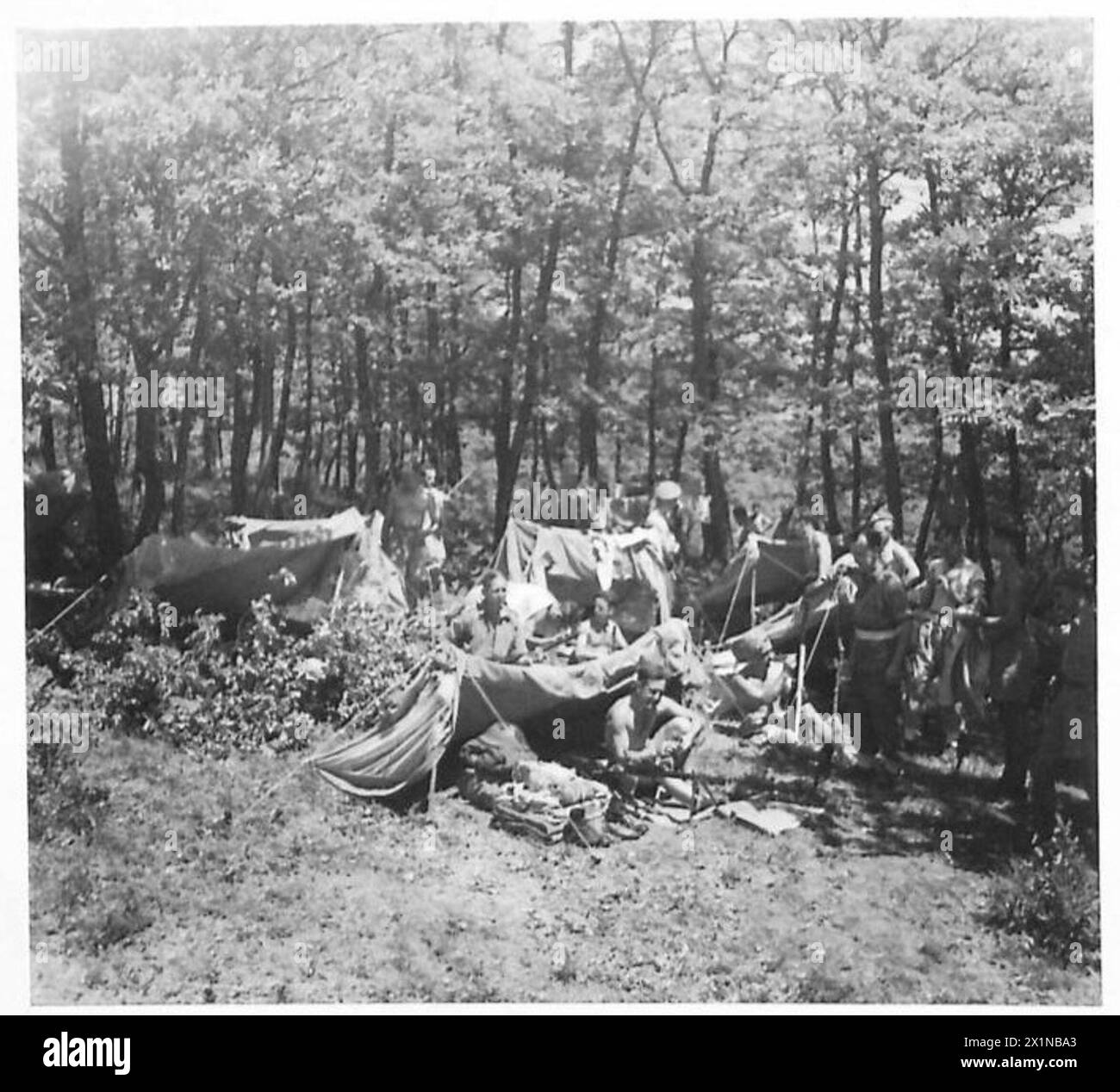 A soldier of A Company, 2/6 Queen's, works around quarters in a wood ...