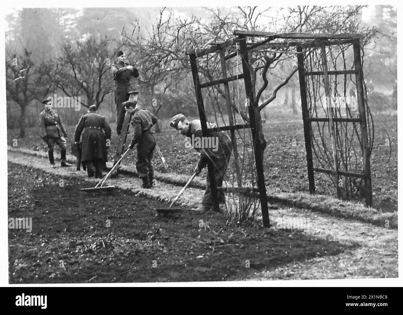 British Army soldiers are shown preparing the ground for vegetable ...