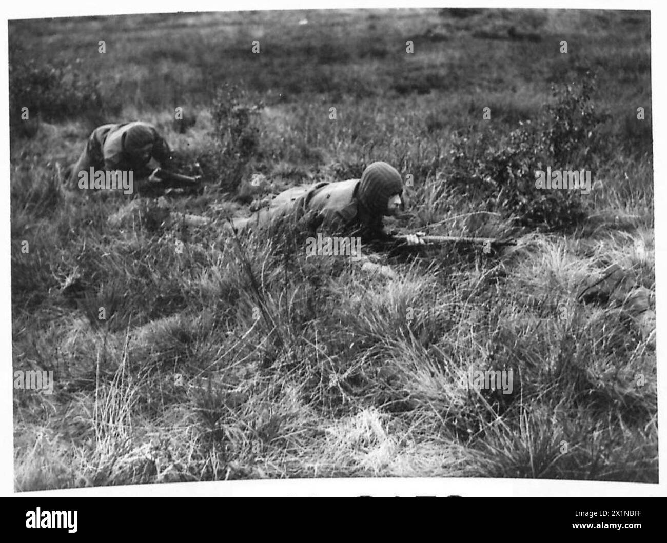 British Army anti-sniper Scouts undergo training exercises to develop ...