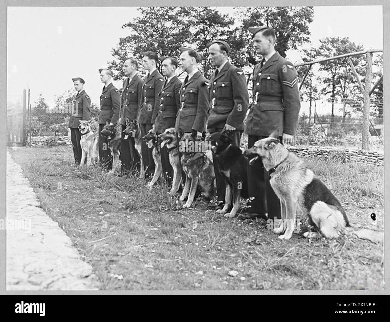 AIRFIELD ALSATIAN GUARDS - 10283 Each Alsatian has its own orderly ...