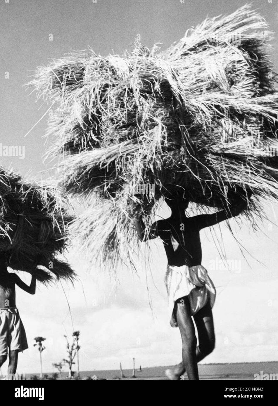 Military photograph archives Black and White Stock Photos & Images - Alamy