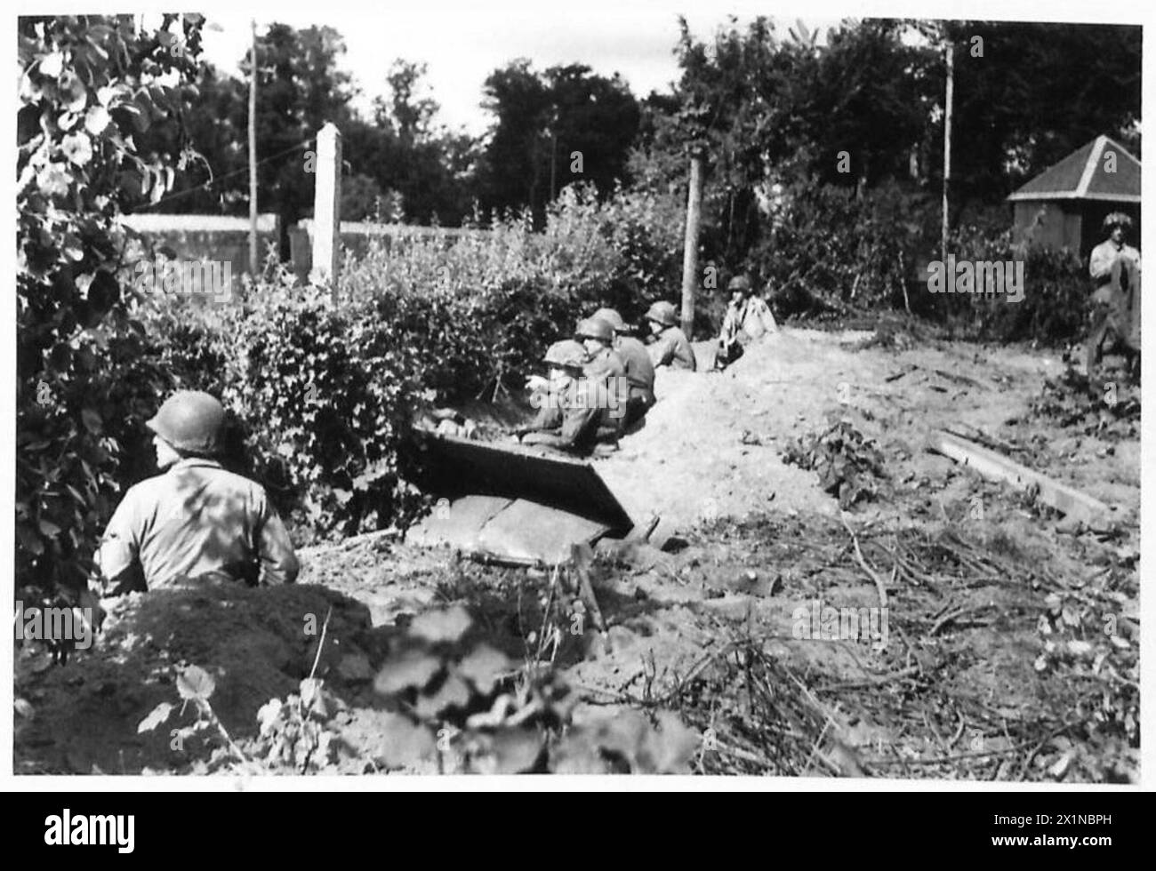 British and American troops share a trench on the edge of an orchard ...