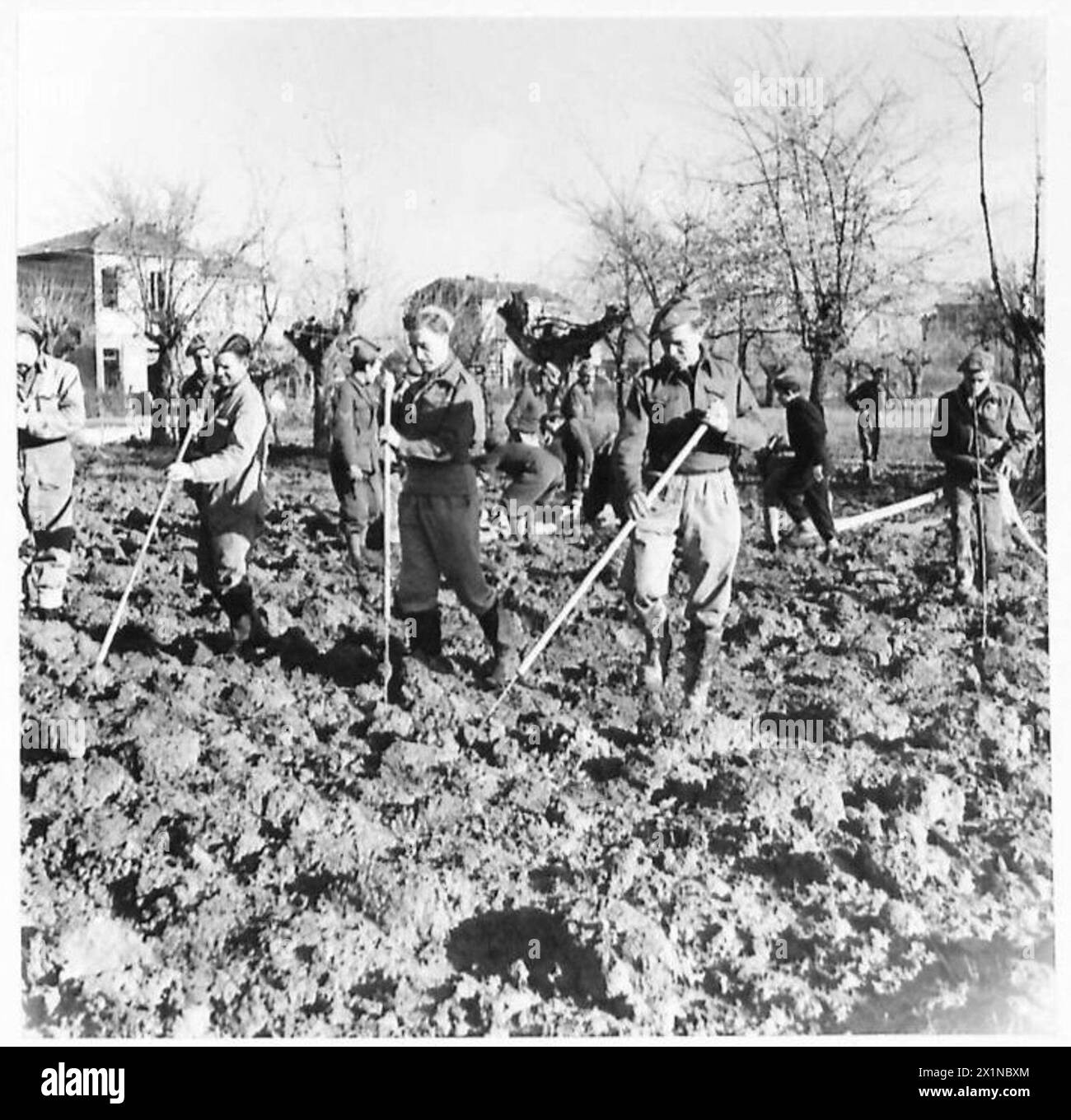 723 Cut Out Stock Images & Pictures - Alamy