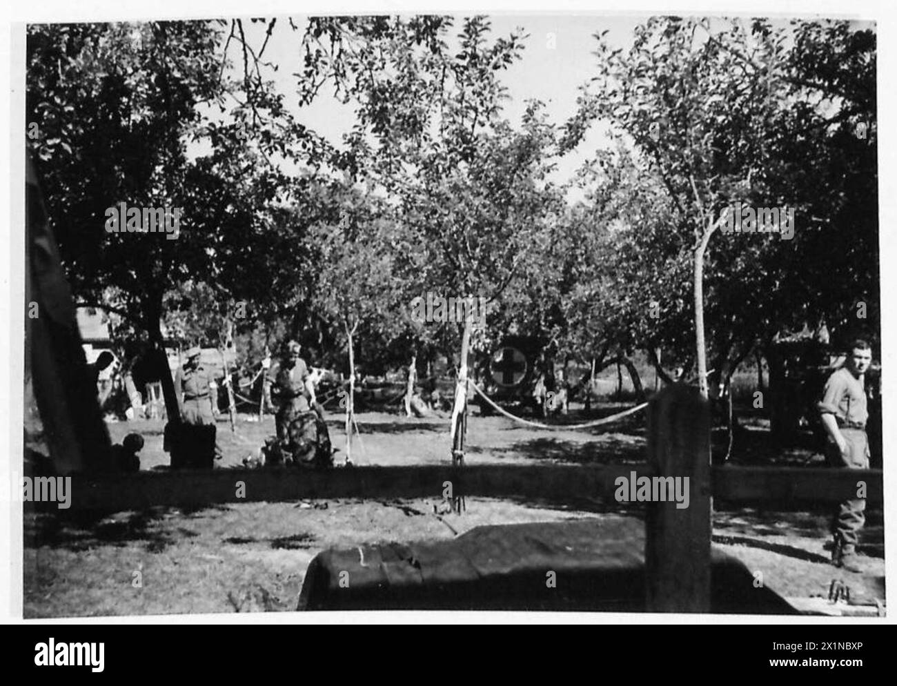BRITISH TROOPS IN NORMANDY ORCHARDS - General view of the ADS in an ...