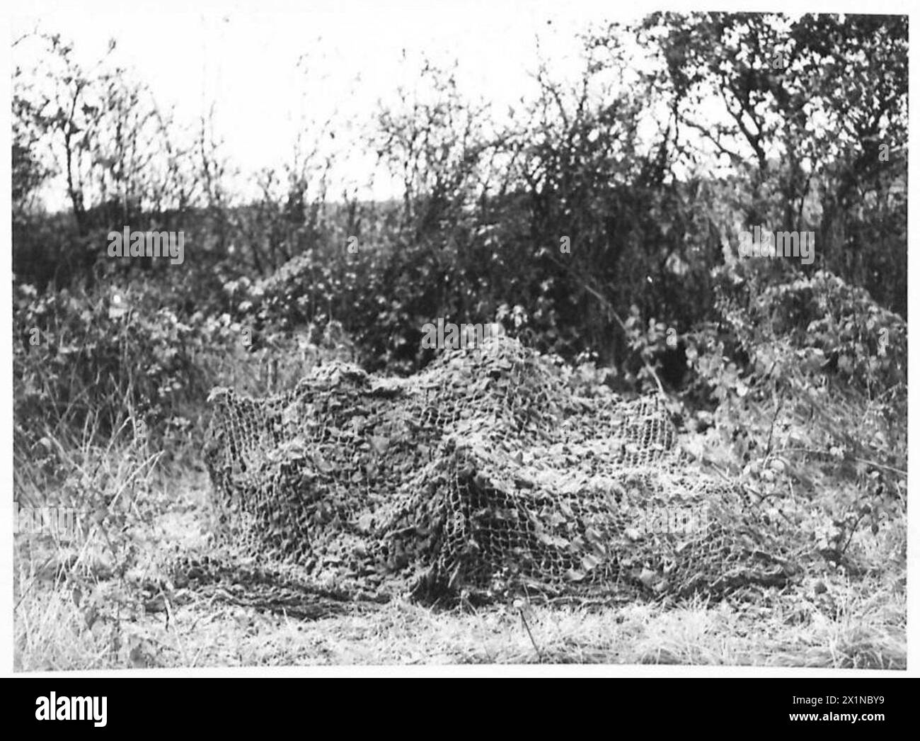 The British Army maintained defense, training, and operational ...