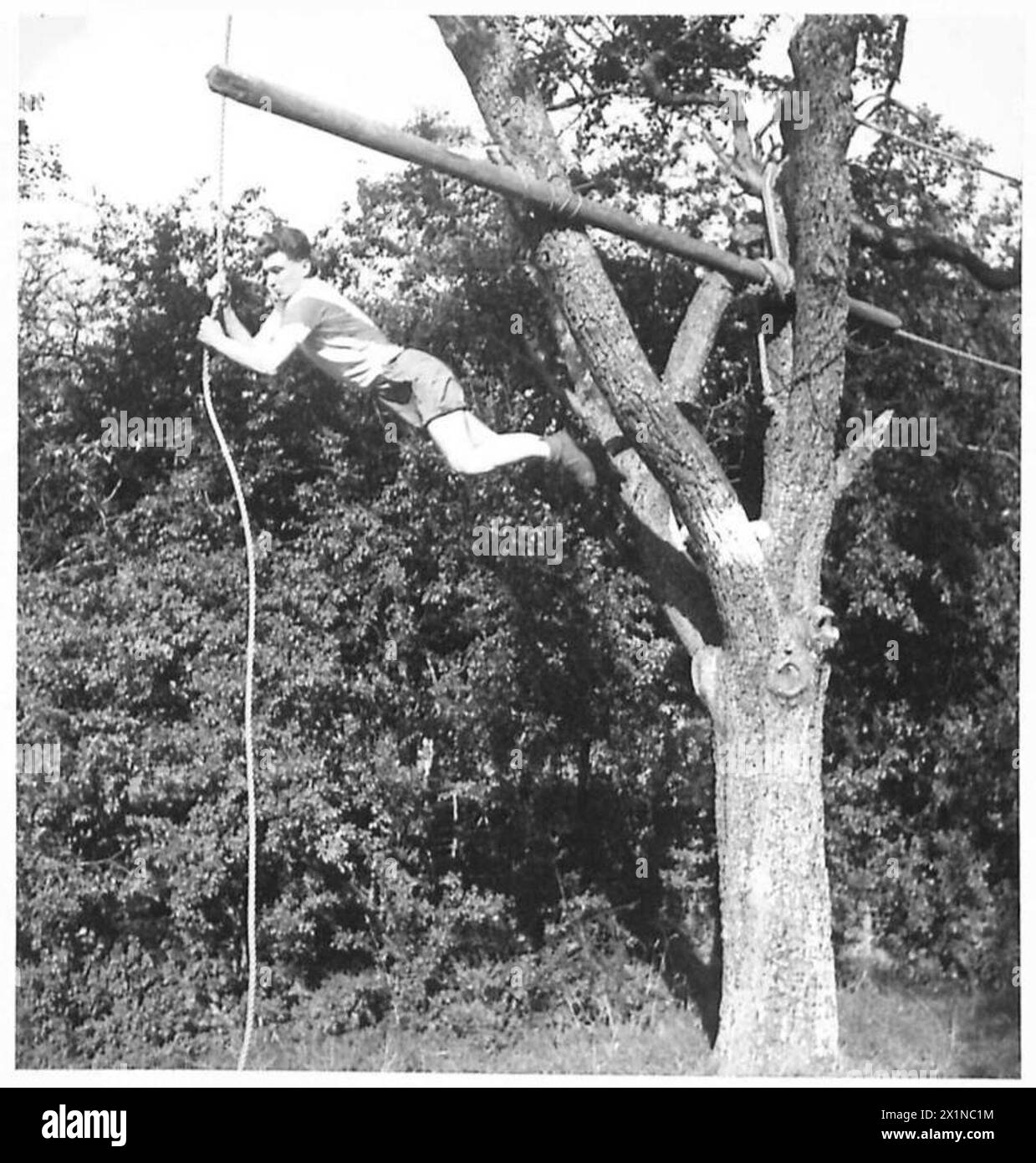 Training and evaluation unit Cut Out Stock Images & Pictures - Alamy