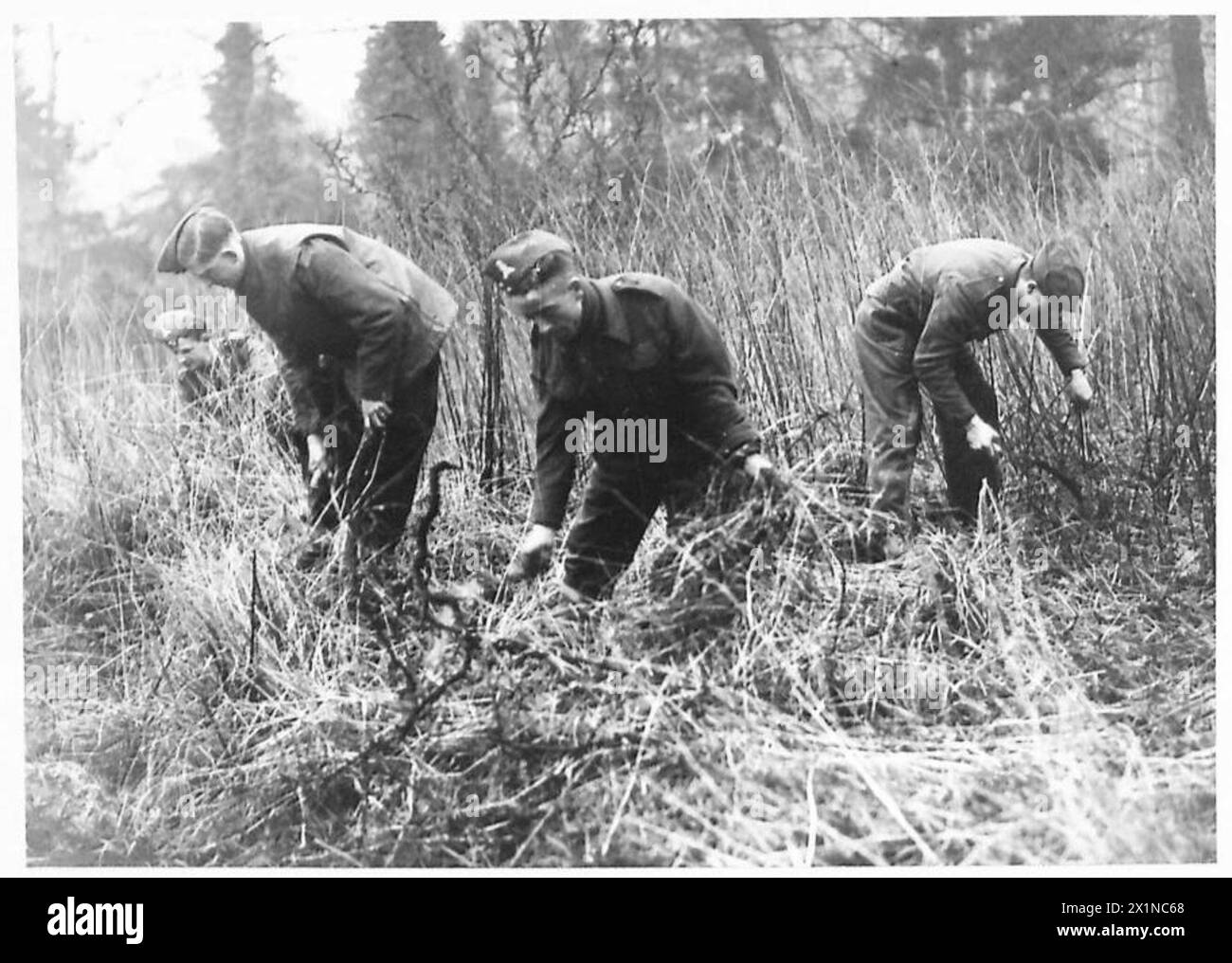 SOLDIERS DIG FOR VICTORY - Soldiers clearing ground that will be used ...