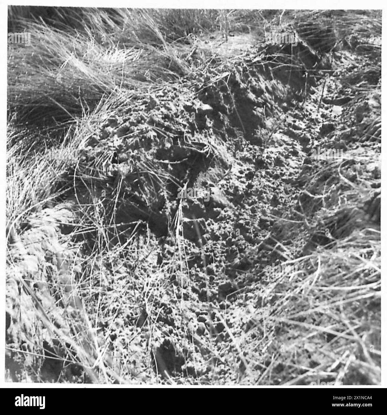 Artillery experiments Cut Out Stock Images & Pictures - Alamy