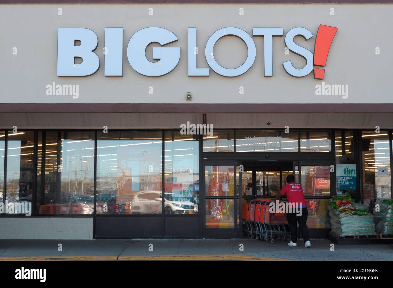 A Big Lots store is seen in the Carle Place neighborhood in Nassau ...