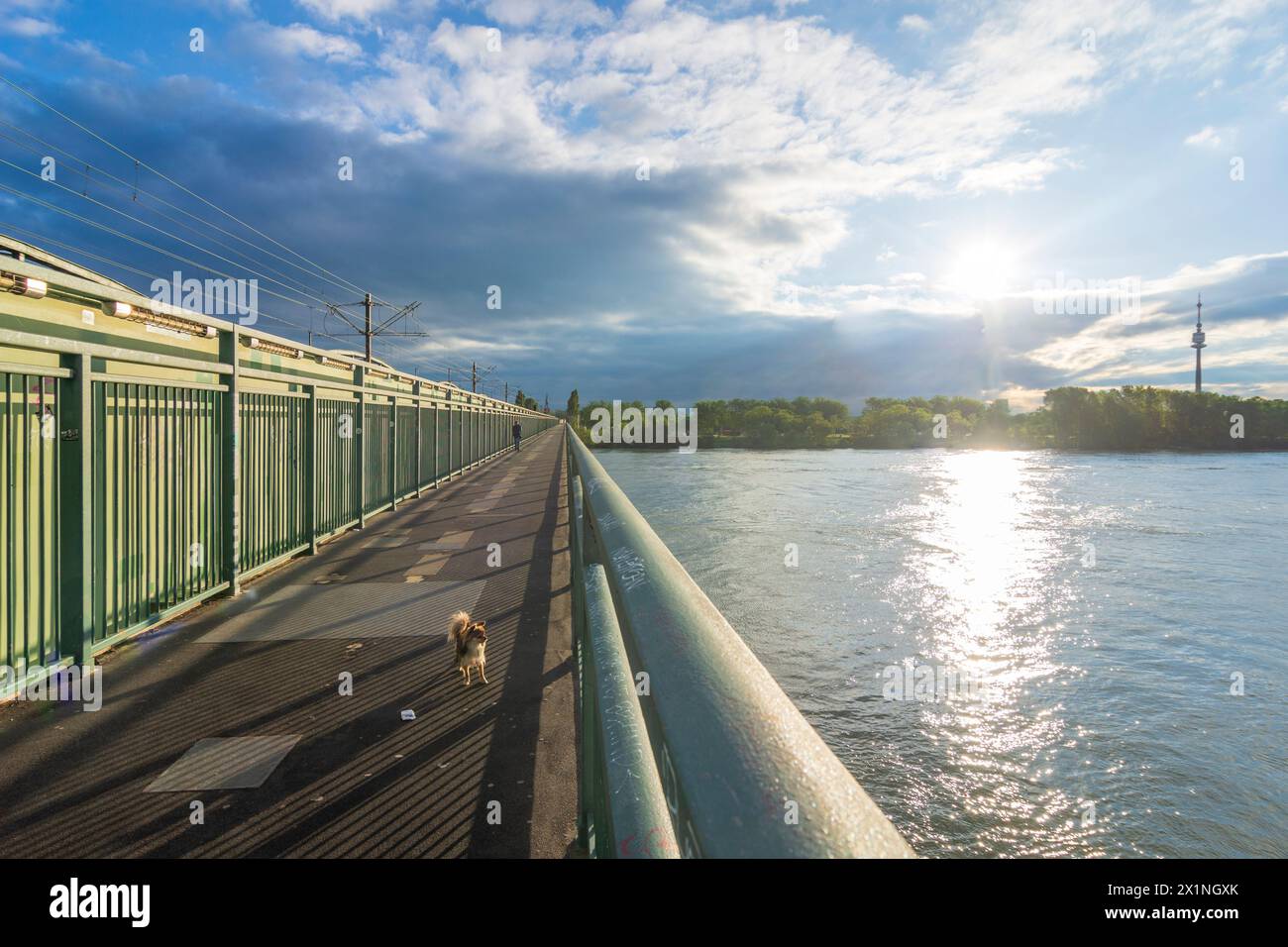 Vienna: river Donau (Danube), bridge Georg-Danzer-Steg with U6 ...