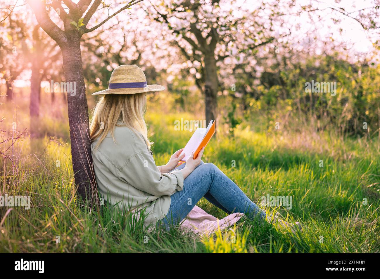 Relaxed woman sitting under blooming cherry tree and reading book to ...