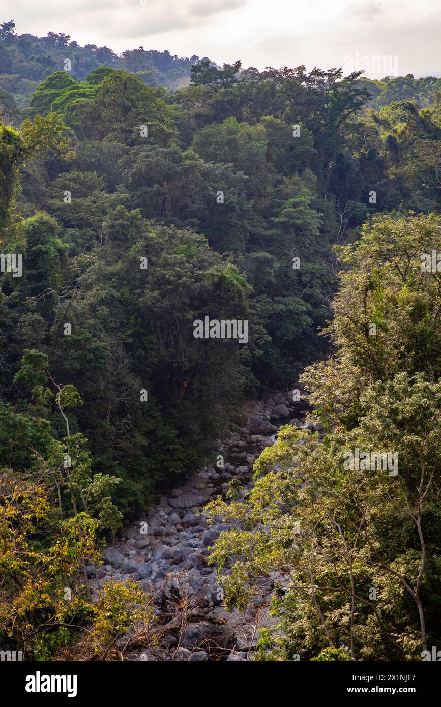 Photograph of Pico Bonito National Park, near La Ceiba, Honduras on an ...