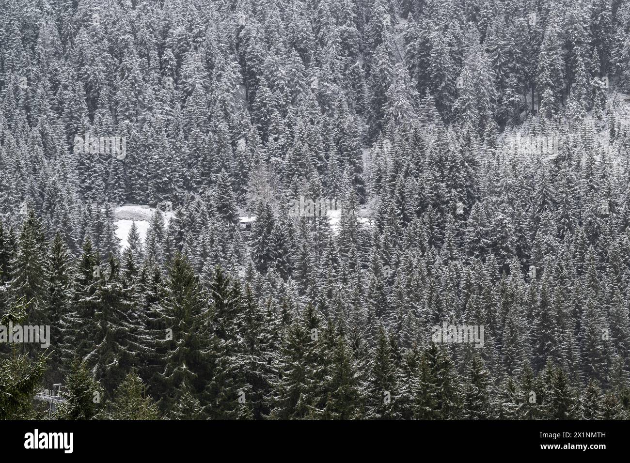 Pec Pod Snezkou, Czech Republic. 17th Apr, 2024. Czech Republic was hit ...