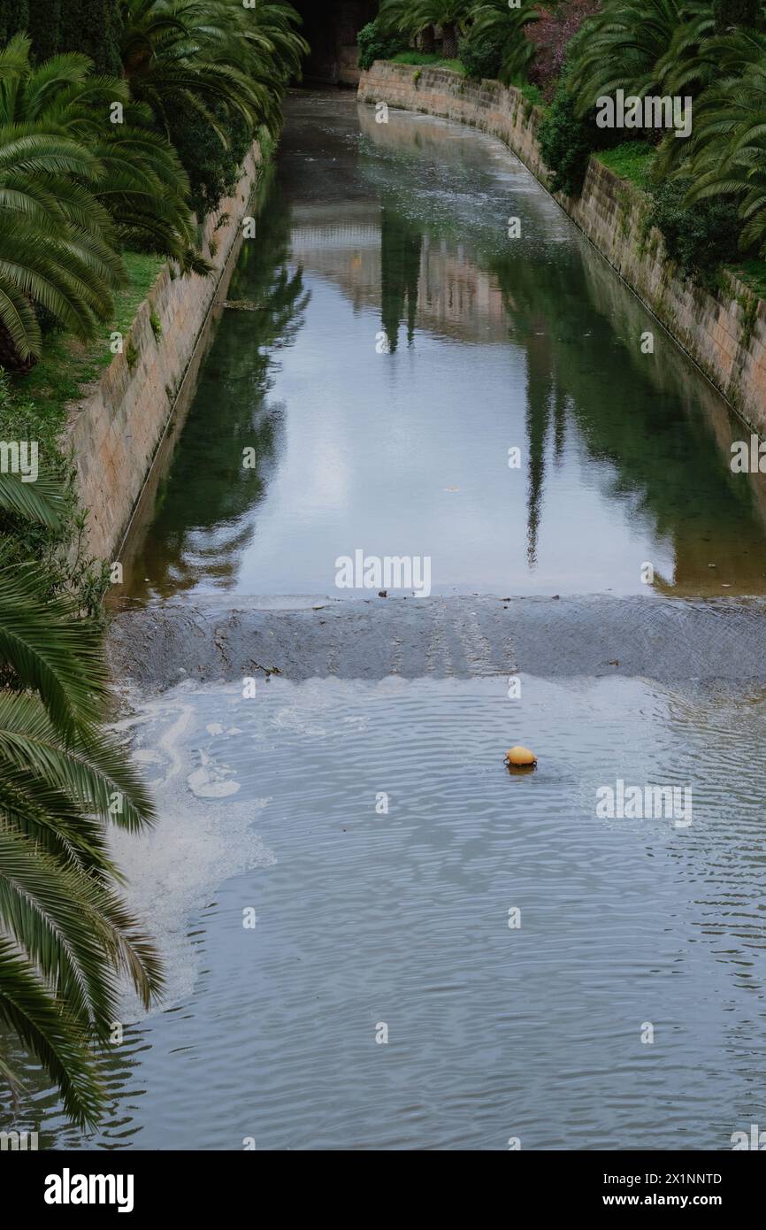 a small river polluted with debris, flanked by palm trees. Despite the ...